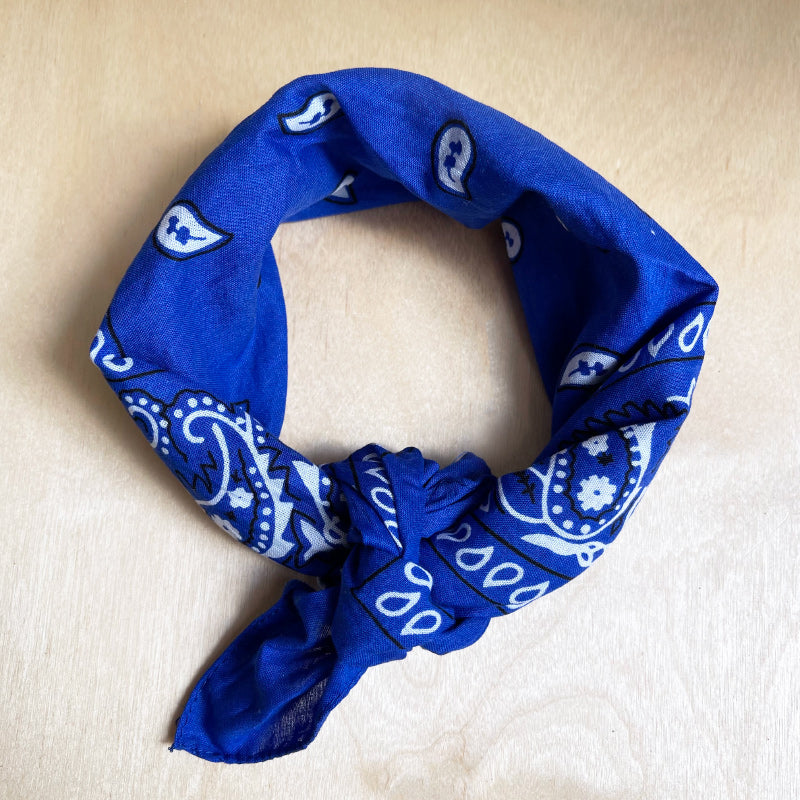 Bandana Royal Blue Cotton Scarf ( pre washed ) – Outlet Newtown